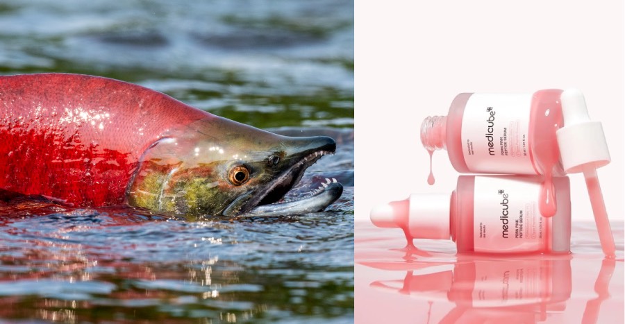 Your Guide to PDRN: Top Treatments and Serums to Try