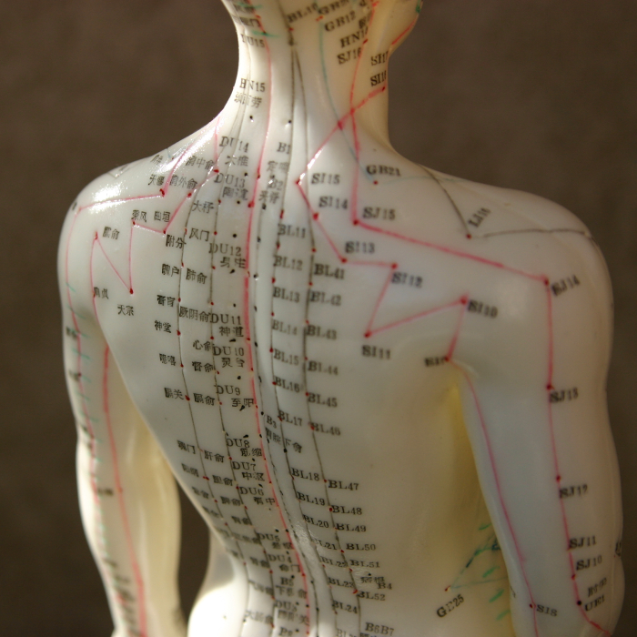 Zhao Lusi's "Meridian Massage" Secrets for A Healthy Body And Radiant ...